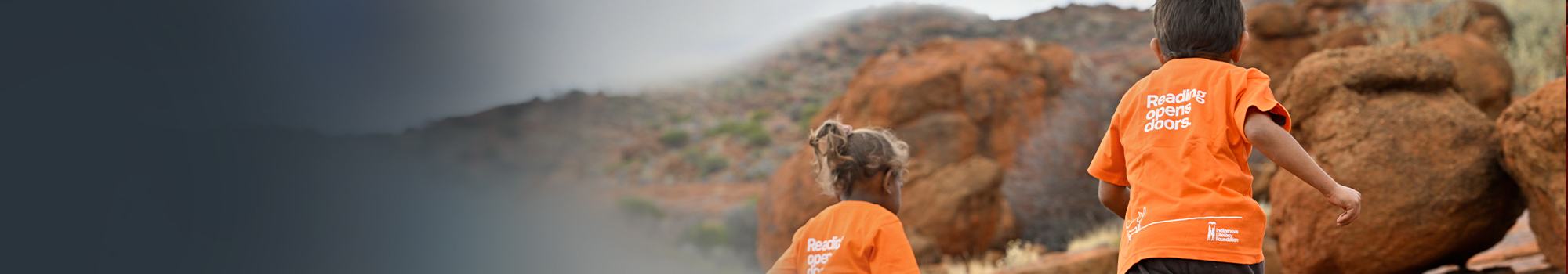 ARA Endowment Fund - Indigenous ARA